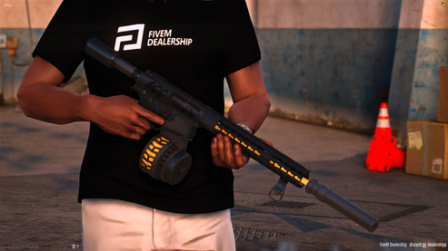 AR-13 - Color Wave Pack (10 Guns) – Fivem Dealership